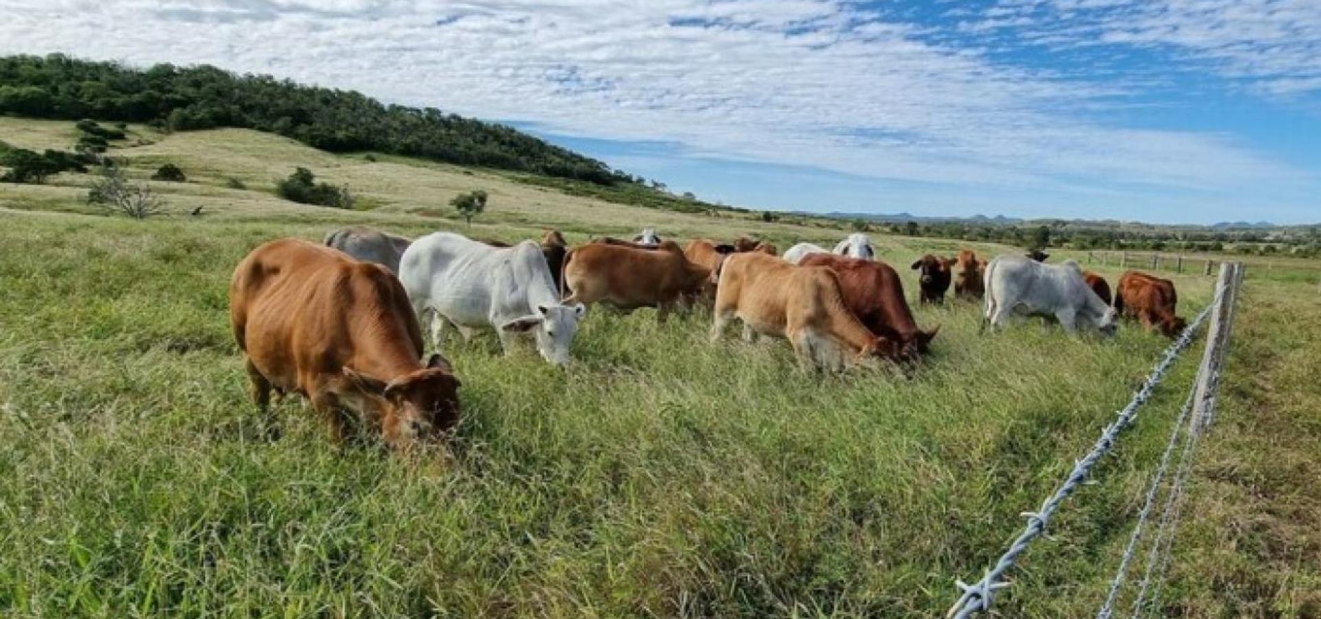 Alan Cornick Real Estate - Home