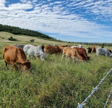 Home - Alan Cornick Real Estate