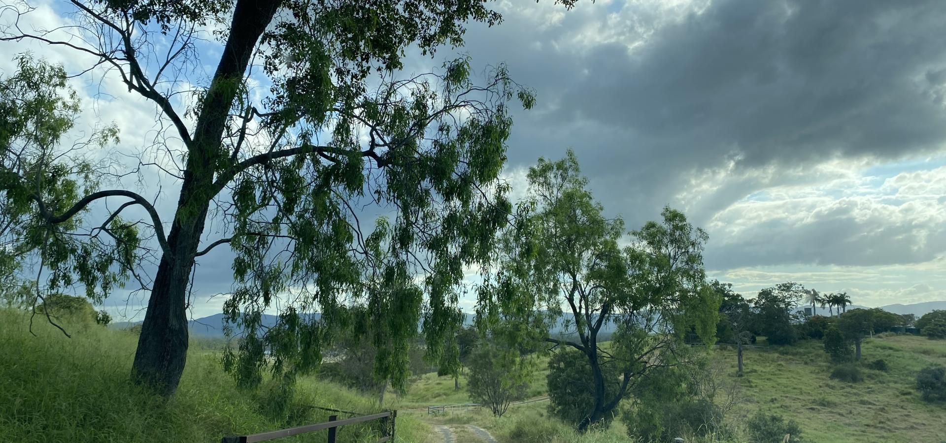 Alan Cornick Real Estate - Home