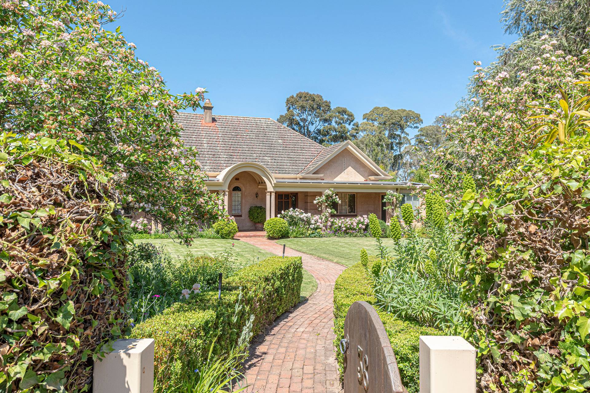 Bailey Property - Charm and Sophistication in Leabrook