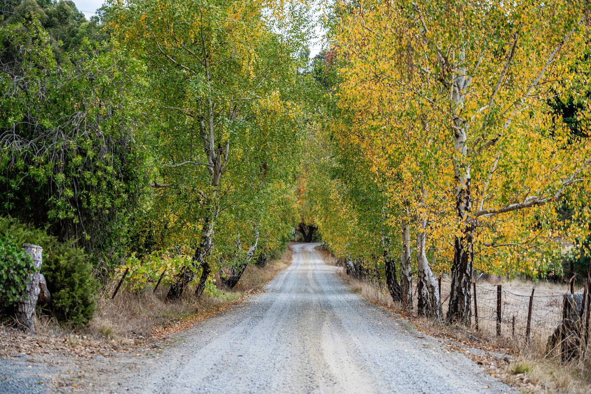 Bailey Property - An amazing opportunity – 83 acres of Adelaide Hills ...