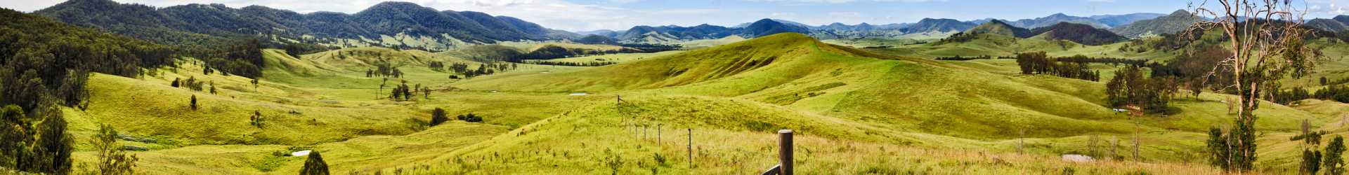 David Berns Real Estate - Appraisal