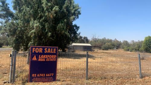 Huge Piece of Land in Town! - Lakeford Real Estate