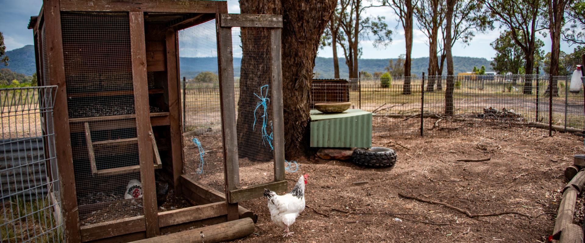 McDonald Lawson - Lifestyle Oasis