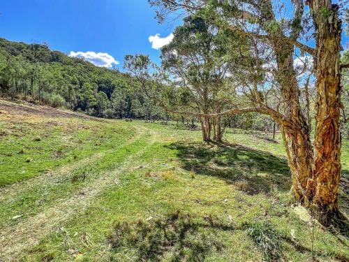 Musgrove Realty - Scenic Country Weekender Acreage