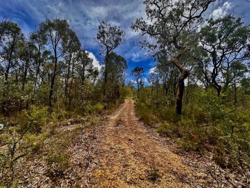 Musgrove Realty - 'Grass Tree Heaven'