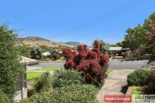 Paull & Scollard Nutrien & Nutrien Ivone Agencies - PRIME LOCATION WITH ...