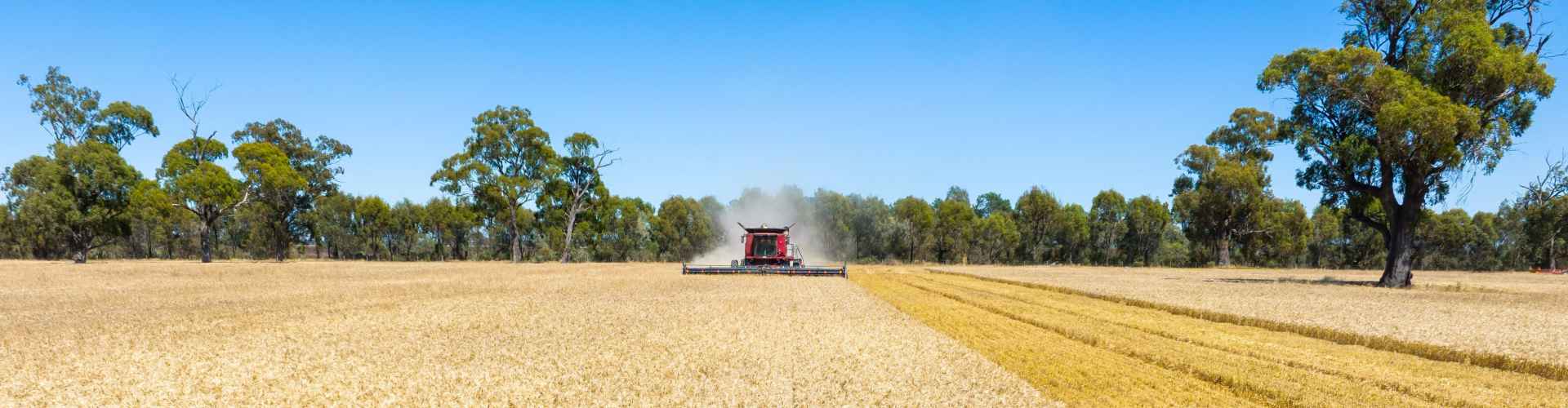 Home - Paull & Scollard Nutrien & Nutrien Ivone Agencies