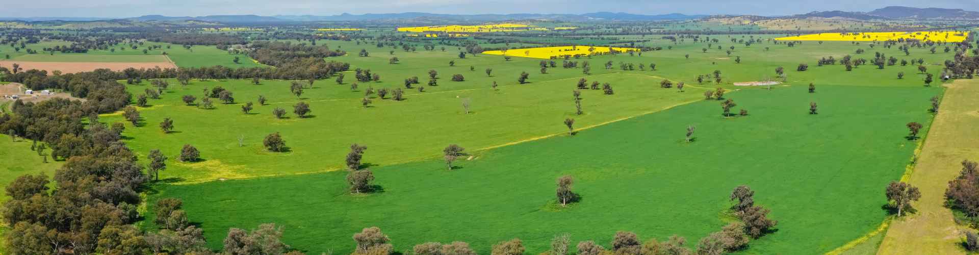 Home - Paull & Scollard Nutrien & Nutrien Ivone Agencies