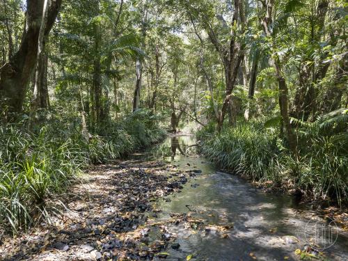 RJR Property - YOUR PRIVATE RAINFOREST ESCAPE AWAITS!