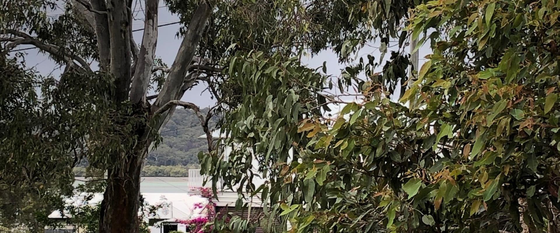 Russell Island Real Estate - POSITION POSITION