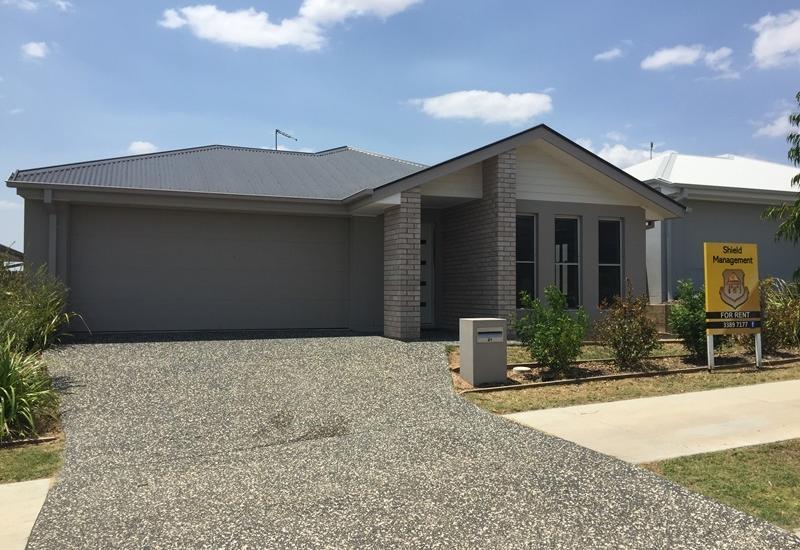 Shield Management - Home