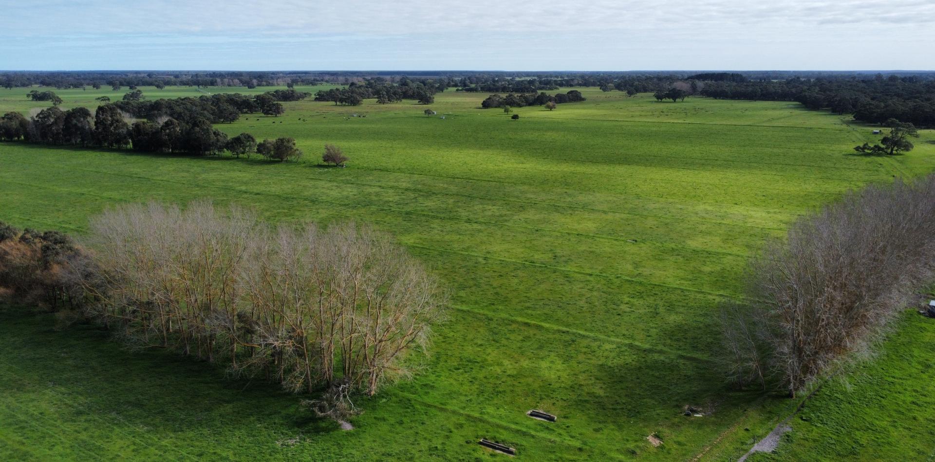 BANYULA - Sheltered Grazing with Pivot Irrigation - TDC Livestock and ...