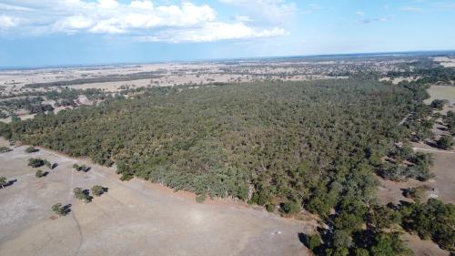 Native Escape At Its best - Make an Offer - TDC Livestock and Property